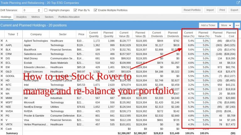 How To Build A Winning Stock Portfolio: A Step-By-Step Guide For Beginners